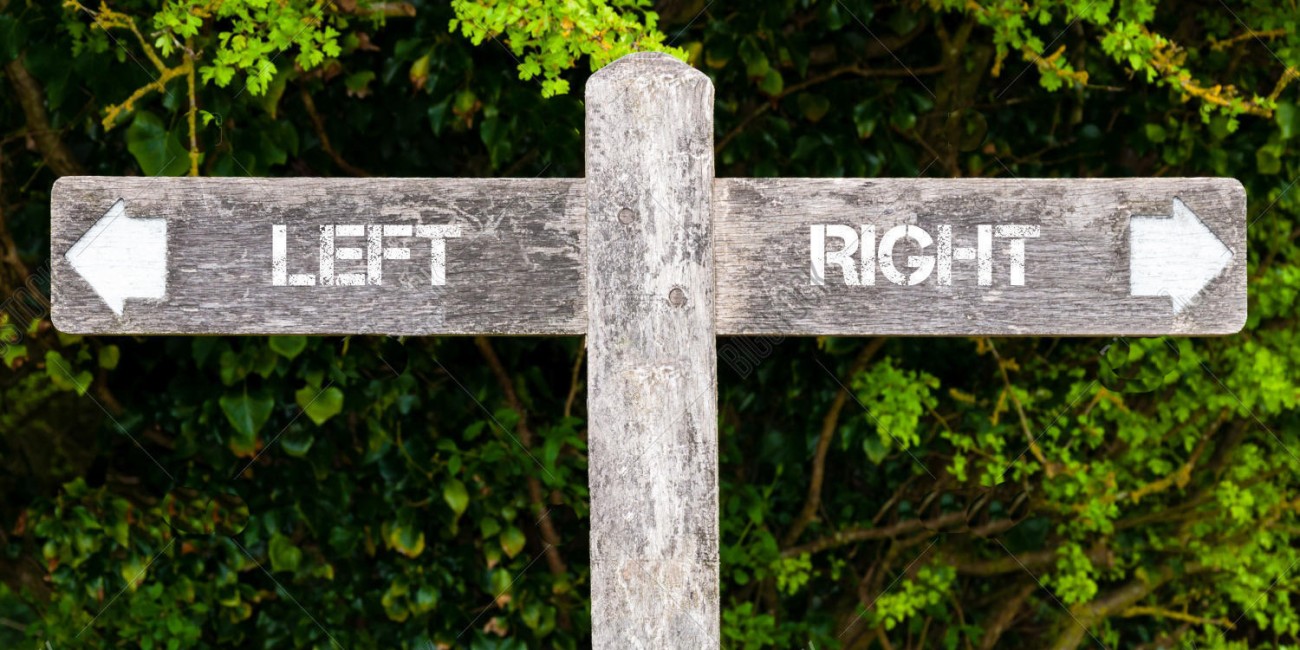 Dividing Right From Left | Right Minds NZ