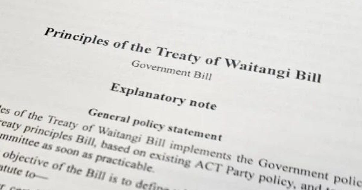 Universal Human Rights and the Treaty Principles Bill | Right Minds NZ