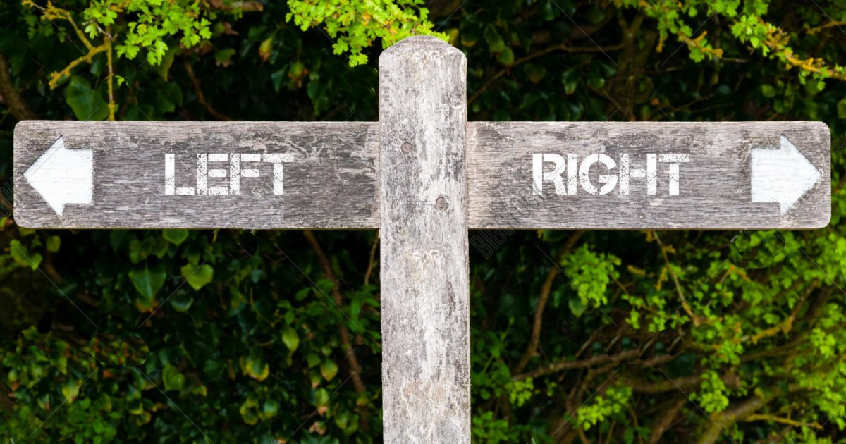 Dividing Right From Left | Right Minds NZ